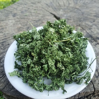 Jual Daun Parsley Kering daun Peterseli kering | Shopee Indonesia