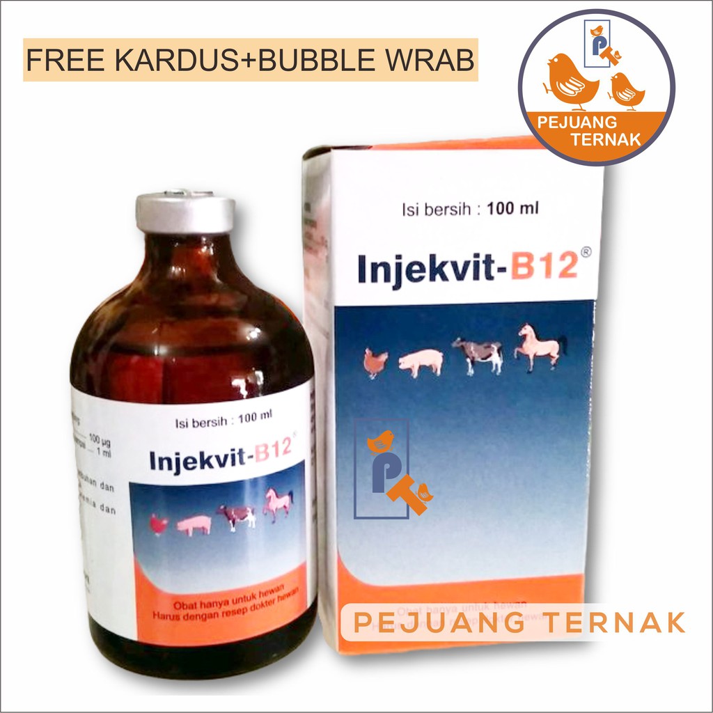 Jual INJEKVIT B12 100 ML OBAT ANEMIA HEWAN | Shopee Indonesia