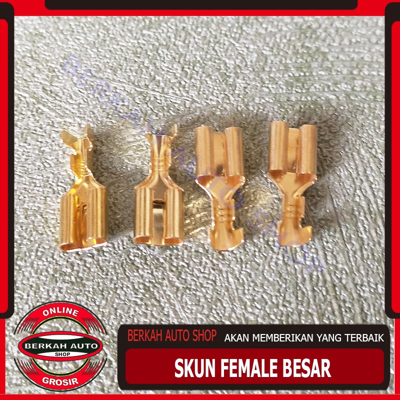 Jual Skun female besar - skun soket - skun segi gold | Shopee Indonesia