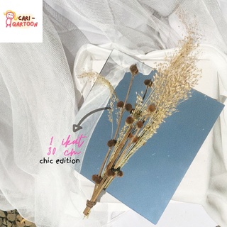 Jual Bunga Kering - bunga kering aesthetic, bunga, dried flower, dried ...