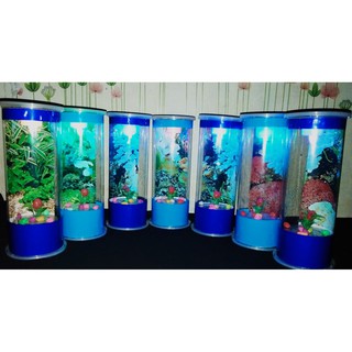 Jual Aquarium Mini Tabung Bulat Mika - D 10.5cm T 25cm | Shopee Indonesia