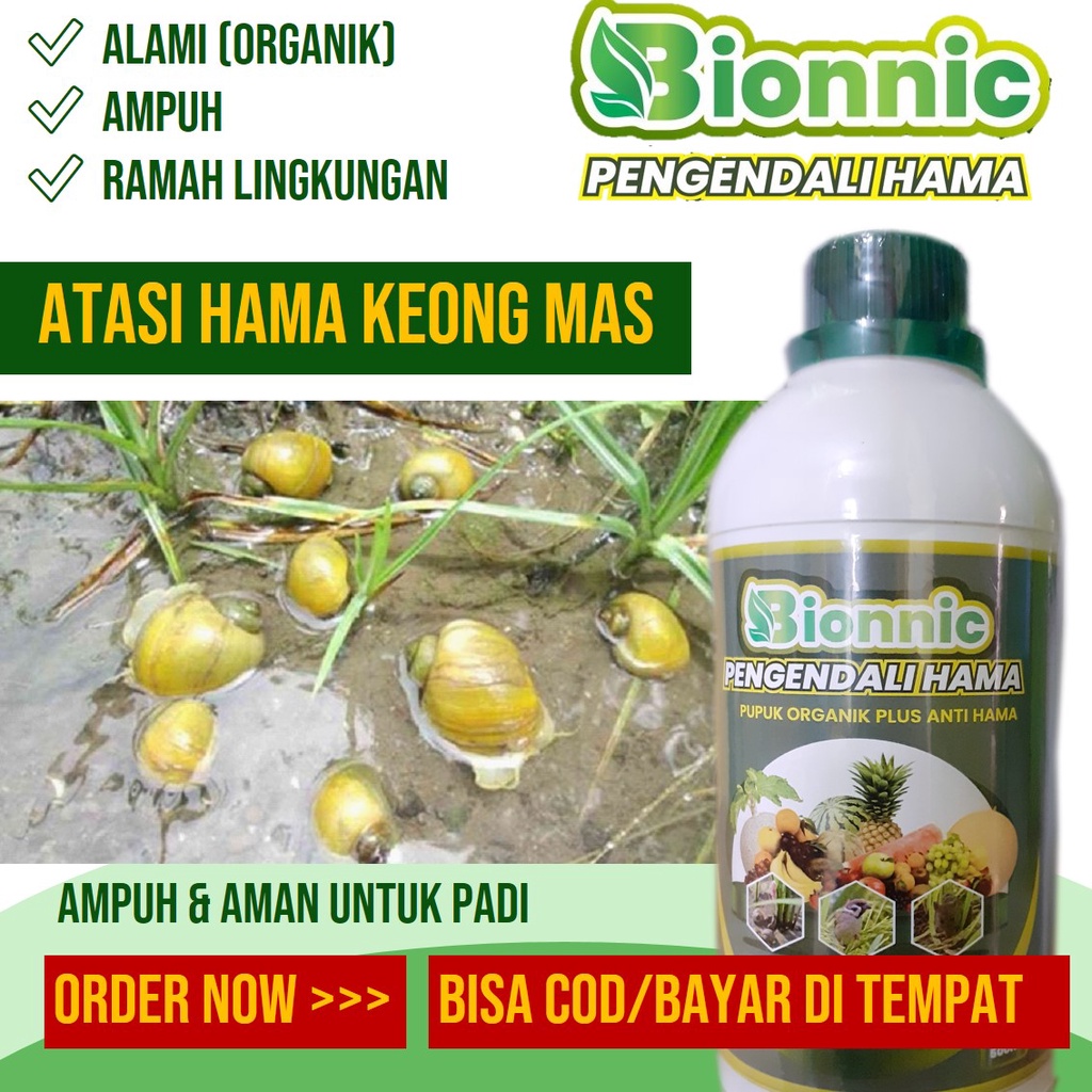 Jual (SIAP KIRIM) Pupuk Pestisida Anti Hama Tikus, Burung Padi dan ...
