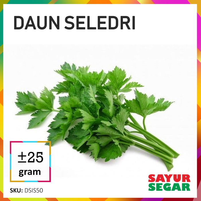 Jual Daun Seledri Sayur [25G] | Shopee Indonesia