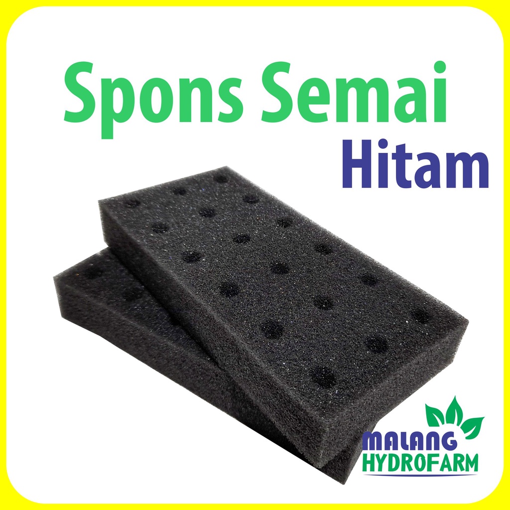Jual Media Tanam Spons Semai Hitam isi 18 hole cubs kubus siap pakai ...