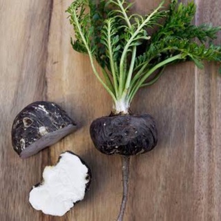 Jual Raw Organic Black Maca Root / Akar Maca Hitam (100gr) | Shopee ...