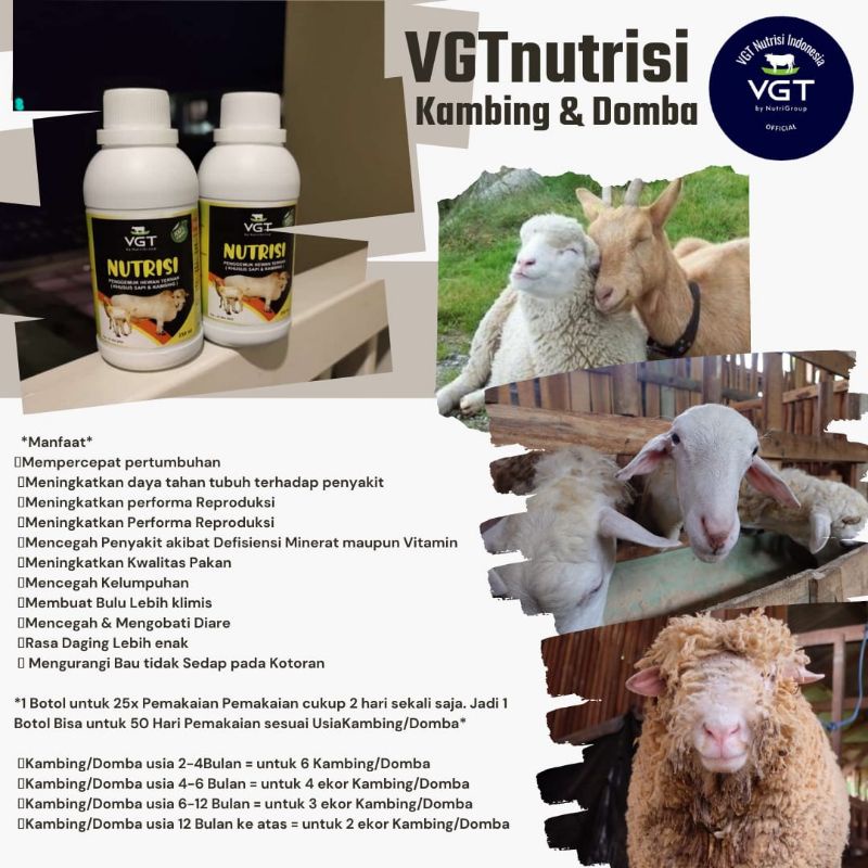 Jual VGT nutrisi Kambing Domba Kibas vitamin ternak probiotik organik ...