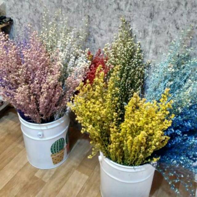 Jual DRIED FLOWER / BUNGA KERING PIKOK LOKAL | Shopee Indonesia