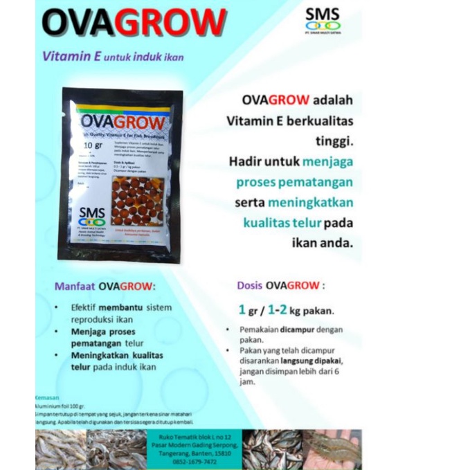Jual OVAGROW vitamin e indukan ikan | Shopee Indonesia