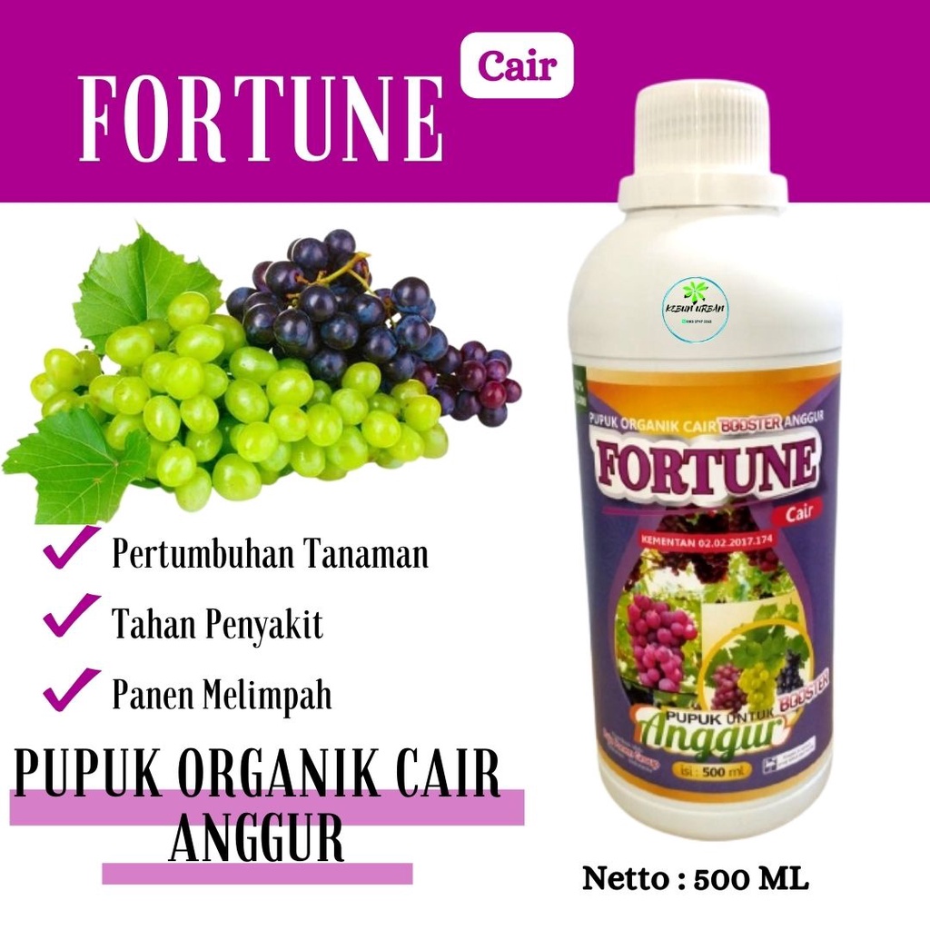 Jual Pupuk Anggur Masa Pertumbuhan Vegetatif Generatif, Pupuk Nutrisi ...