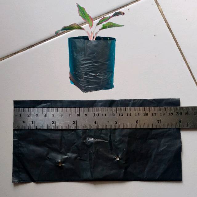 Jual Plastik hdpe Polybag polibek uk 20cm x 10cm | Shopee Indonesia