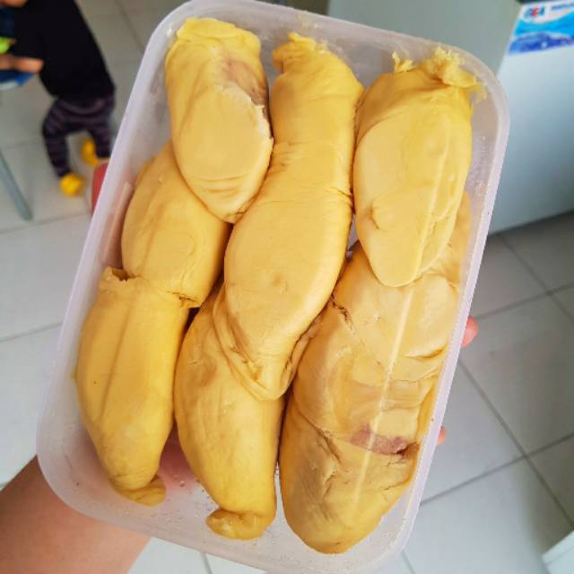 Jual Durian nias super 900gram | Shopee Indonesia