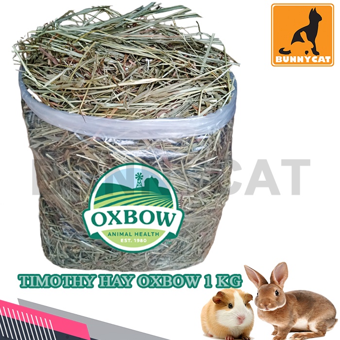 Jual OXBOW TIMOTHY HAY 1Kg - Makanan Kelinci - TIMOTHY HAY Oxbow ...