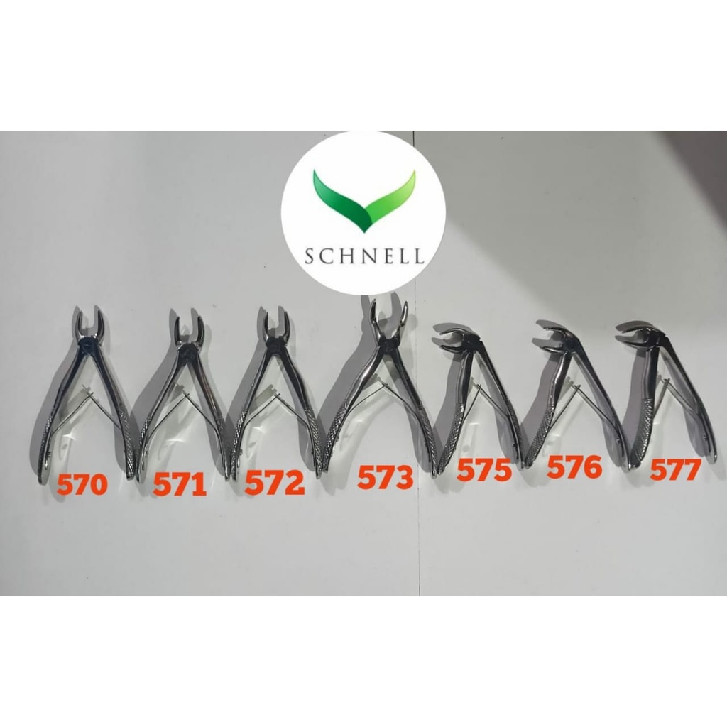 Jual Tooth Forceps Children/Tang Cabut Anak Schezer Dental Instrumen ...