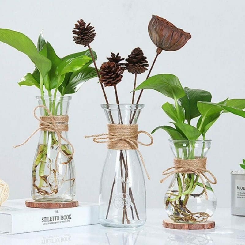 Jual Vas Bunga Vas Kaca Pas Bunga Ruang Tamu Vas Bunga Kaca Pot Tanaman ...