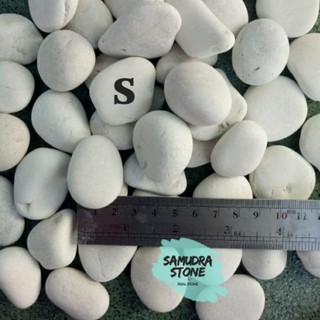 Jual Batu koral putih 1kg/Batu Hias Taman Putih kupang | Shopee Indonesia