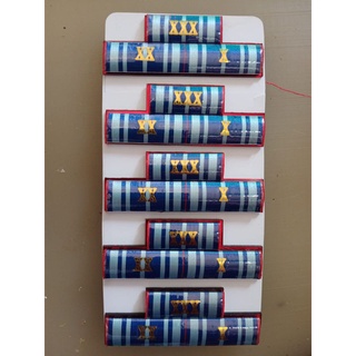 Jual Tanda jasa PNS 30 20 10 tahun | Shopee Indonesia