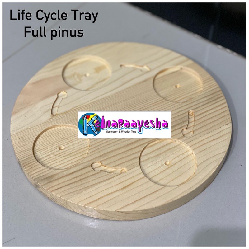 Jual Life cycle tray/ tray daur hidup (full pinus) | Shopee Indonesia