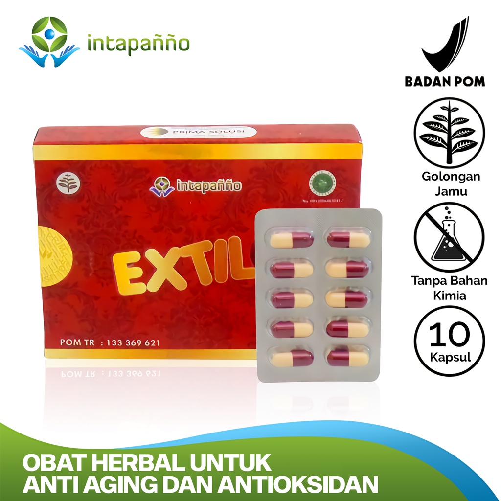 Jual INTAPANNO Extilo Obat Herbal Antioksidan 10 Kapsul Jamu ...