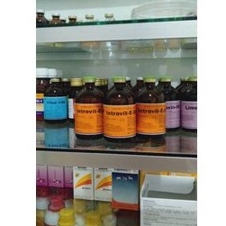 Jual Introvit-E-Selen 100 ml vitamin pencegah segala macam penyakit ...