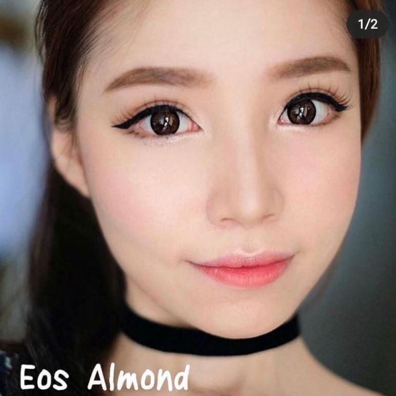 Jual Original Eos Almond Warna Brown Choco Gray Grey Soflens Soflen ...