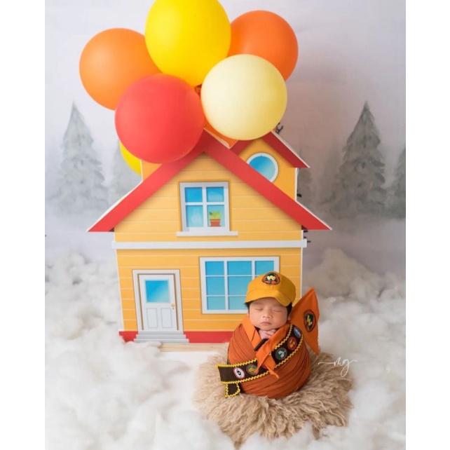 Jual property foto newborn / Rumah Film Disney Up | Shopee Indonesia