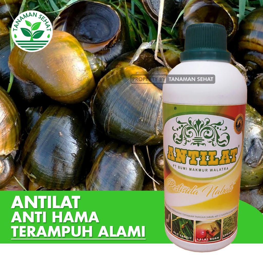 Jual Pupuk Pestisida Organik Cair Obat Anti Hama Keong Mas Untuk Segala Jenis Tanaman Antilat ...