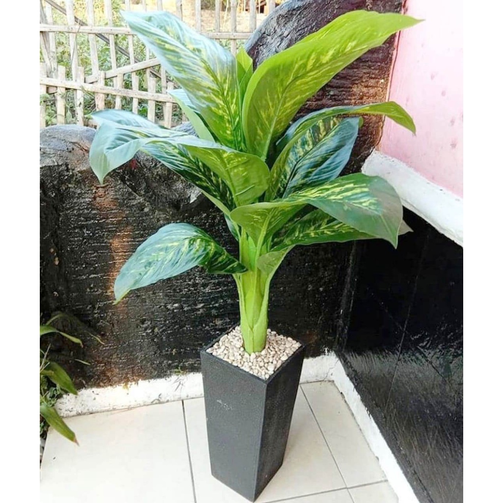 Jual Pohon Keladi Beras Tumpah Palem Plastik Artificial Palsu 120Cm ...