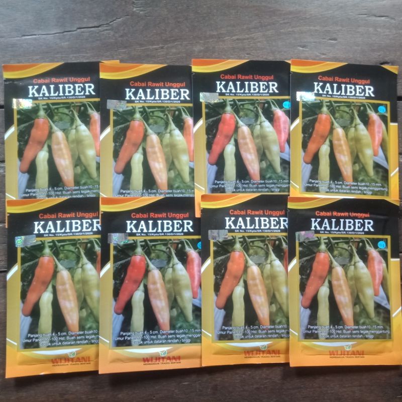 Jual BIBIT CABE KALIBER 10 gr | Shopee Indonesia