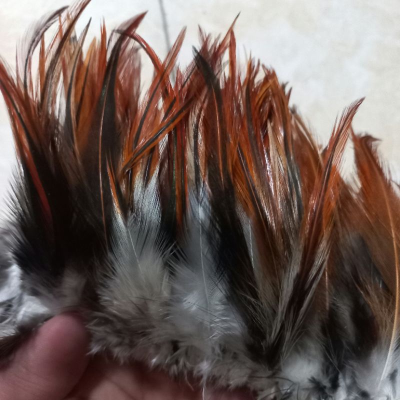 Jual Bulu Halus Ayam Kampung Jago Telah Dirangkai Kualitas Terbaik Bulu ...