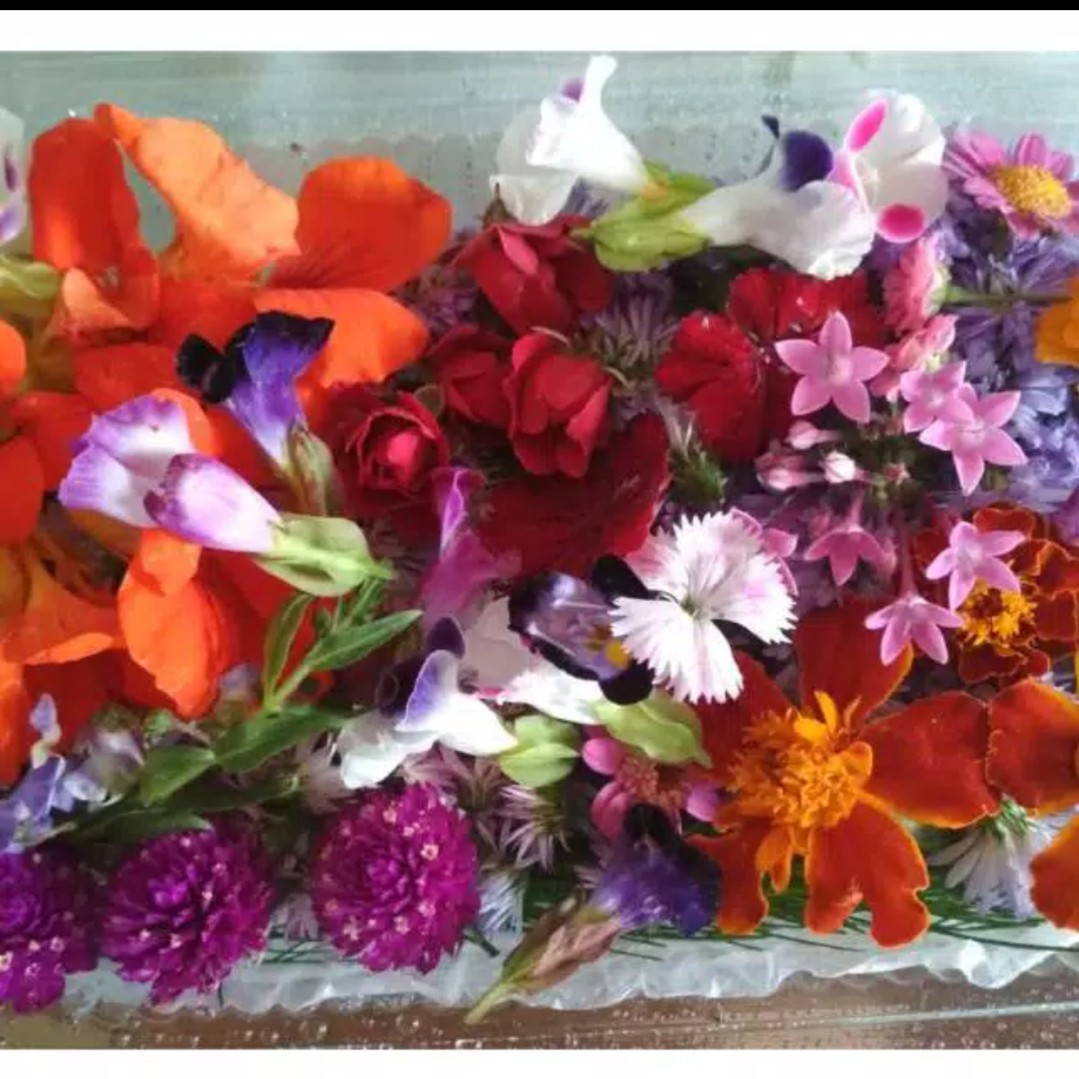 Mix edible flower | Shopee Indonesia