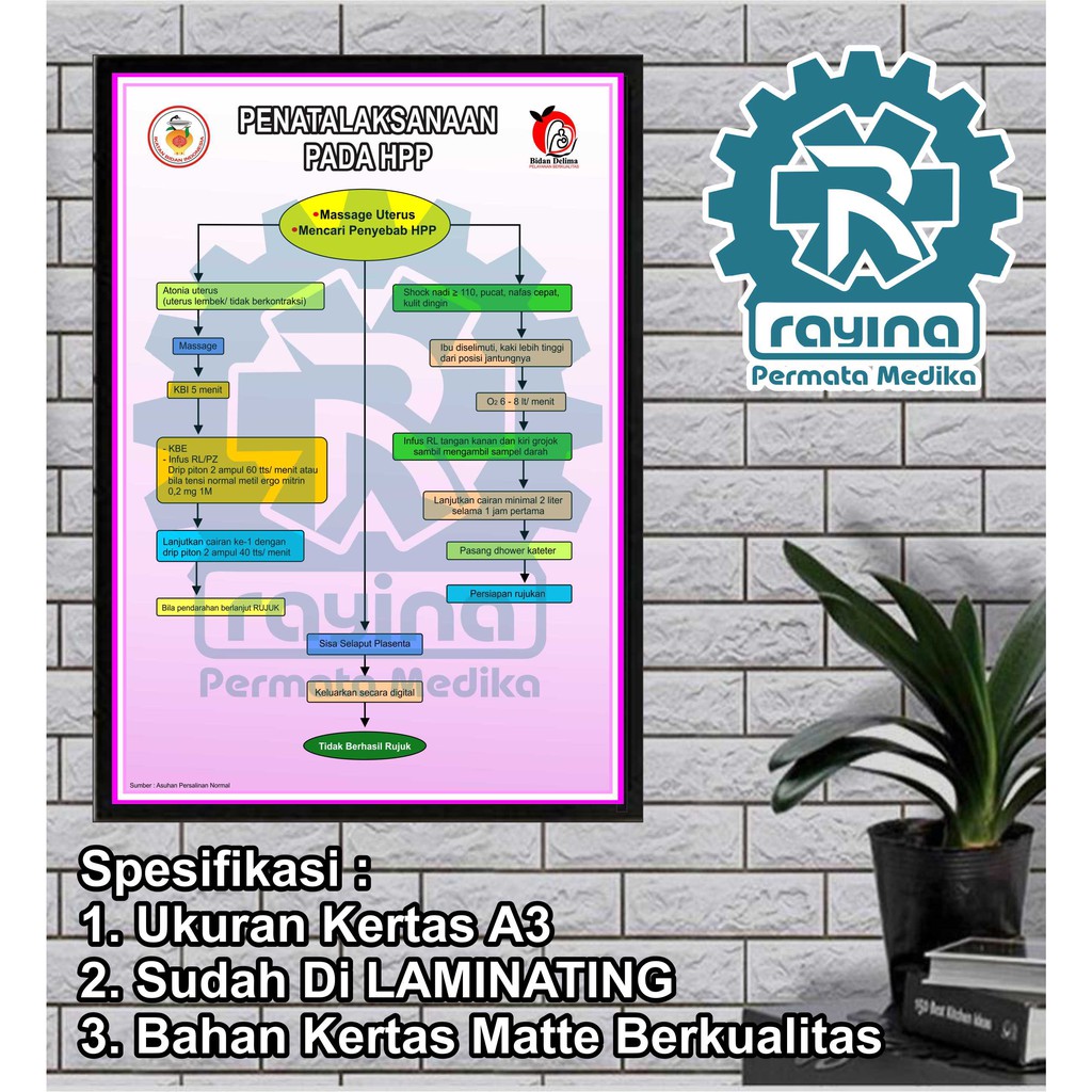 Jual Poster Penatalaksanaan Pada HPP Indonesia|Shopee Indonesia