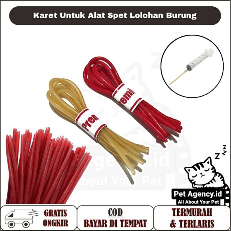 Jual Karet Pentil Merah untuk Alat Spet Lolohan Anak Burung | Shopee ...