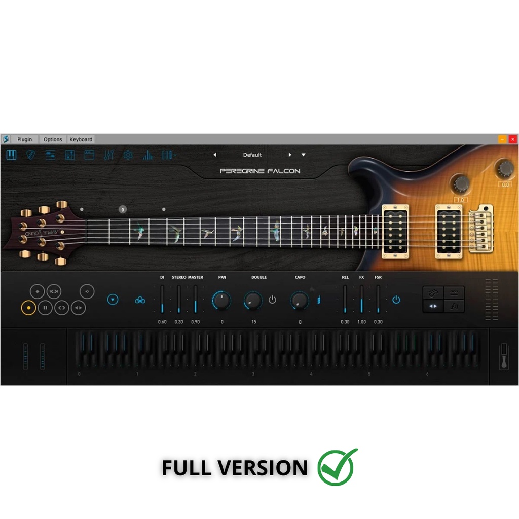 Jual Ample Guitar PF v3 VSTI Plugin PRS Custom 24 Artist Guitar sound ...