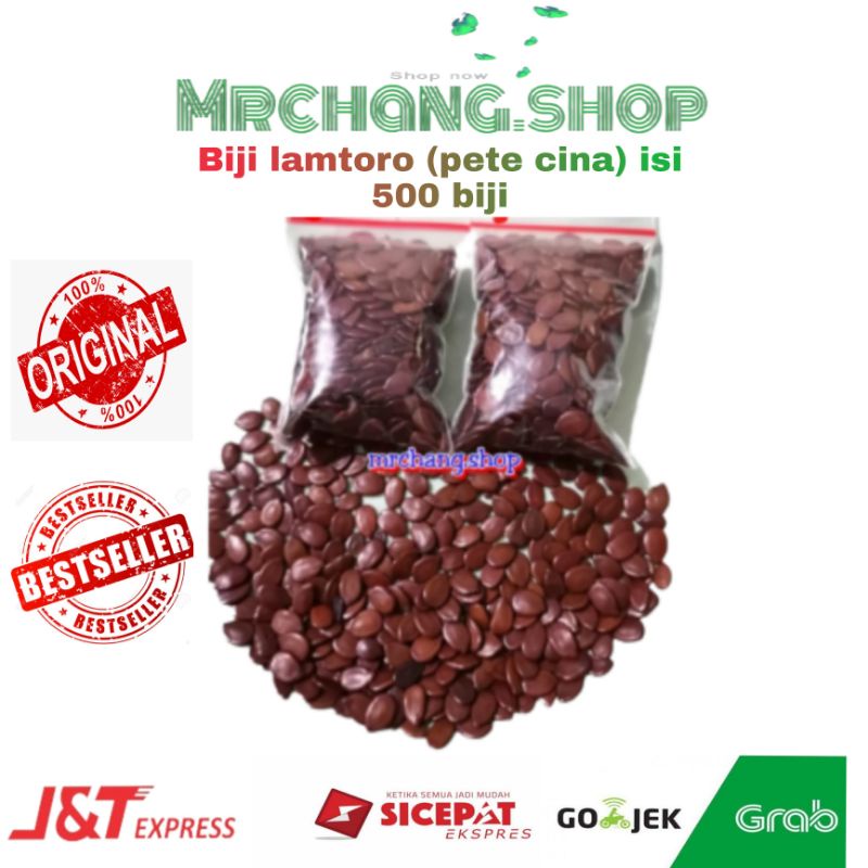 Jual Biji lamtoro/ benih lamtoro petai cina leucaena leucocephala (lead tree) isi 500 biji ...
