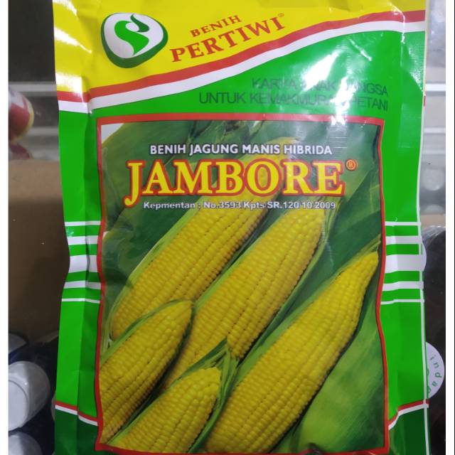 Jual Benih Jagung Manis JAMBORE 250 Gram Benih Pertiwi | Shopee Indonesia