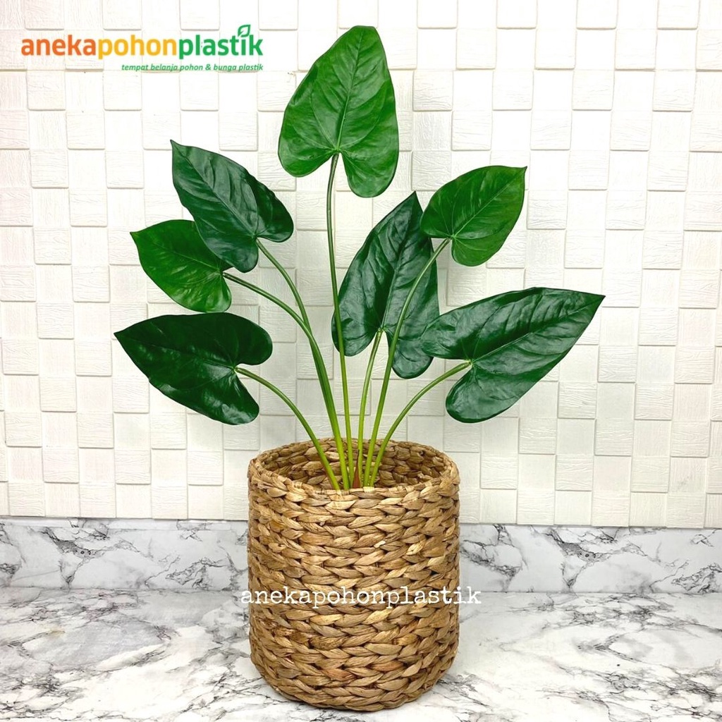 Jual Pohon Daun Talas X7 Latex Artificial Pot Dasar Cover Eceng Gondok ...