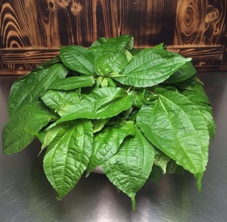 Jual Daun Poh-Pohan / Poh Pohan Sayur Mayur Segar Ikat Pasar Murah ...