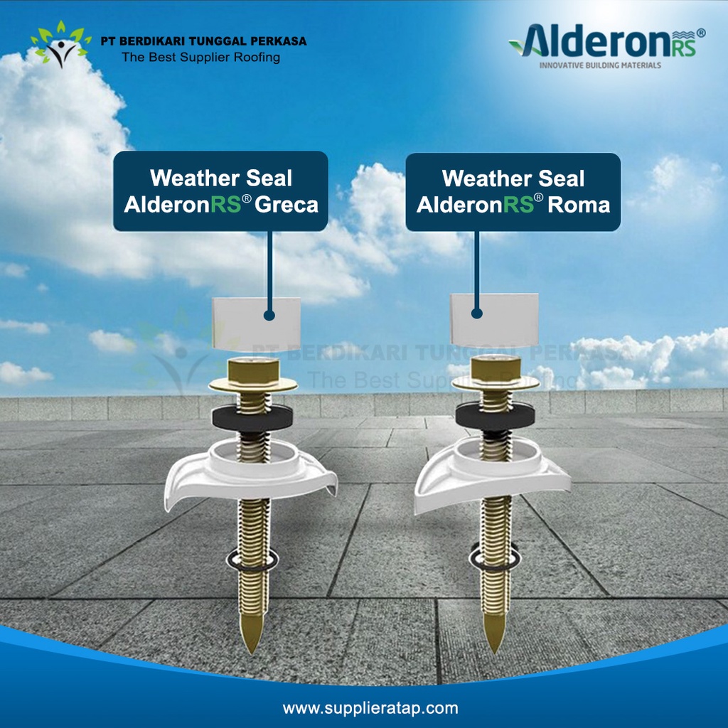 Jual Baut Alderon RS Skrup Atap Roofseal Roofing (1 Pack = 50 Pcs ...