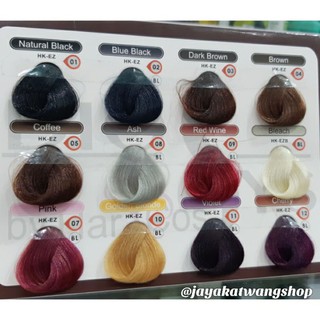 Jual DIOSYS EE-ZY PERMANENT HAIR COLOR 100 mL & 45 mL| Hair Color ...