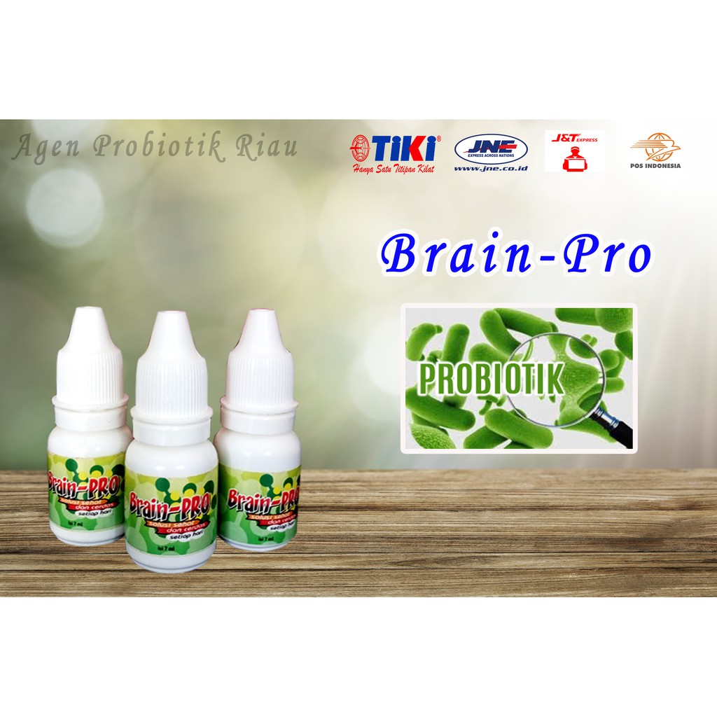 Jual Brain Pro Probiotik Nutrisi Otak Original | Shopee Indonesia