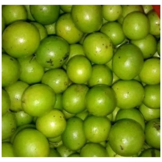 Jual buah jatake buah gadaria langsung petik | Shopee Indonesia