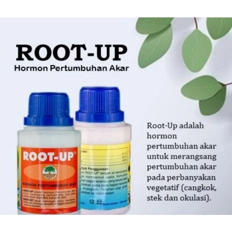 Jual Root Up 100 Gram Hormon pertumbuhan Akar stek batang cangkok ...