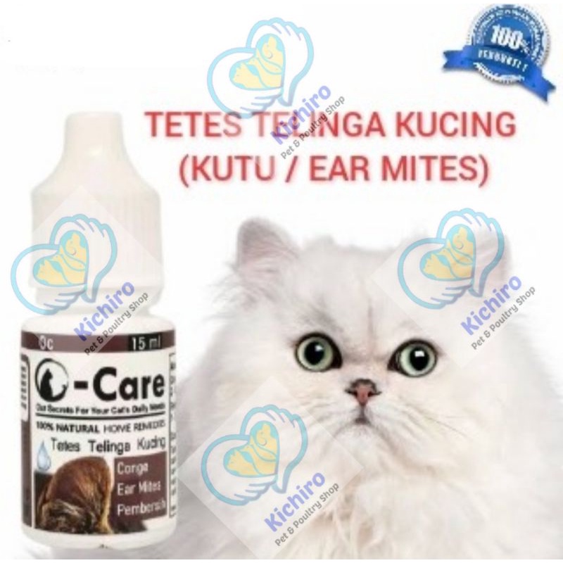 Jual Obat Tetes Telinga Kucing 15 ml Olive Care Menyembuhkan Conge ...