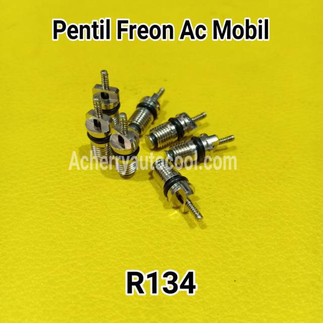 Jual Pentil Freon AC Mobil R134a Indonesia|Shopee Indonesia