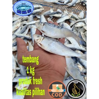 Jual ikan asin tembang tanjan 1KG | Shopee Indonesia