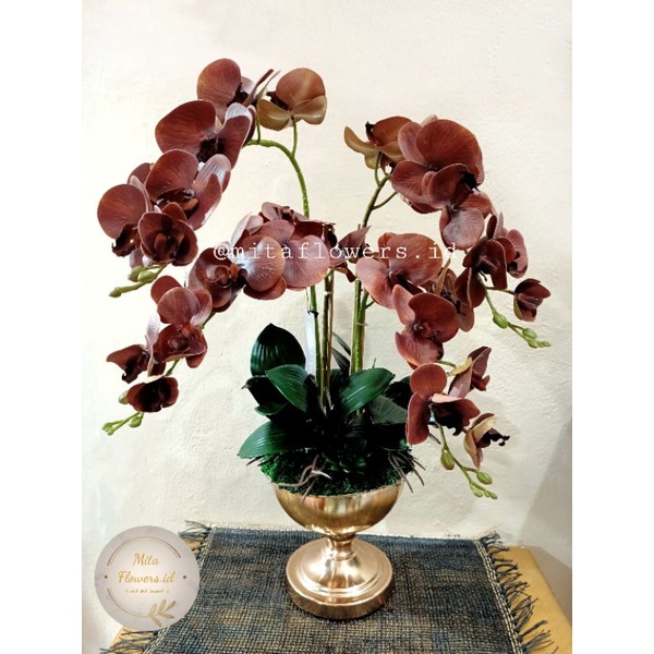 Jual anggrek set 4 tangkai | Shopee Indonesia