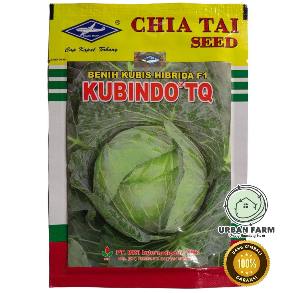 Jual Benih Kubis F1 Hibrida KUBINDO TQ 20gr / Cap Kapal Terbang ...