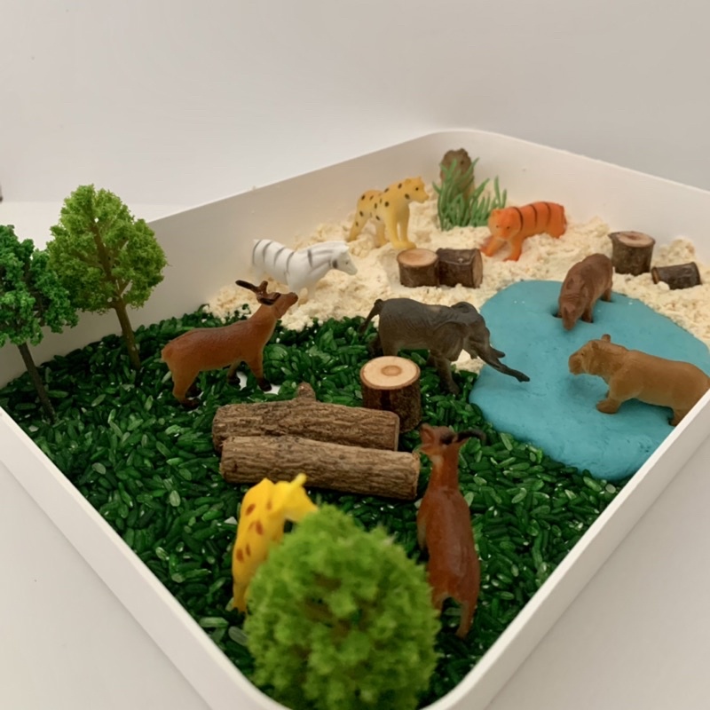 Jual Zoo Sensory Box | Paket Sensory Play Zoo | Mainan Edukasi | Mainan ...