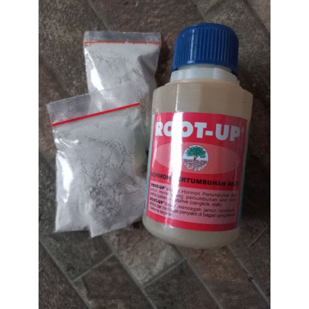 Jual Root Up kemasan repack 10gram | Shopee Indonesia