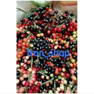 Jual BUAH WUNI BUNI 1KG | Shopee Indonesia